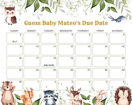 Baby Due Date Calendar Maker | Custom Baby Shower Templates